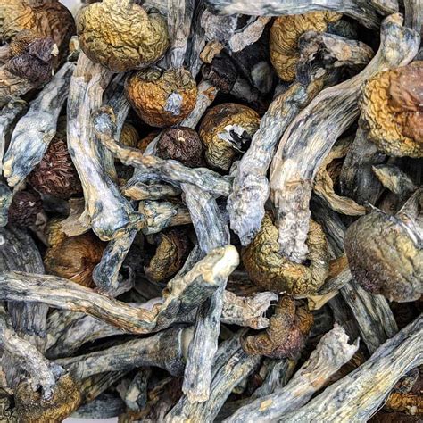 Blue Meanies Magic Mushrooms Buy Weed Online