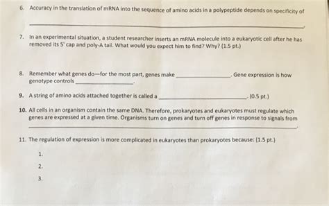 Solved Accuracy In The Translation Of MRNA Into The Chegg Com