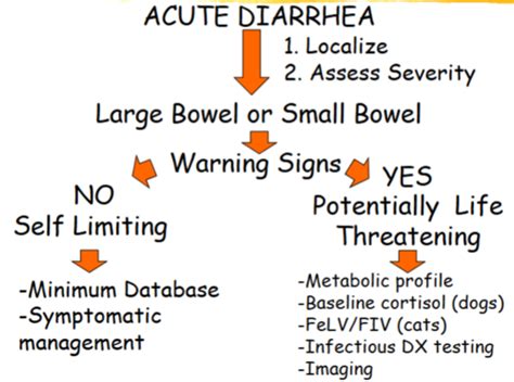Diarrhea And Constipation Flashcards Quizlet
