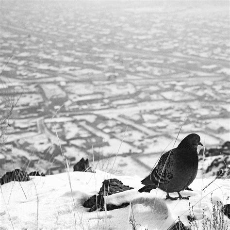 Зурсан зургаараа өөрийгөө шинжээд үз Та гайхаж мэднэ