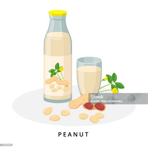 땅콩 우유를 병과 유리에 넣었습니다 식물 우유 비건 우유 개념 흰색 배경에서 격리된 벡터 그림입니다 대체 우유와 재료 개념에 대한 스톡 벡터 아트 및 기타 이미지 Istock