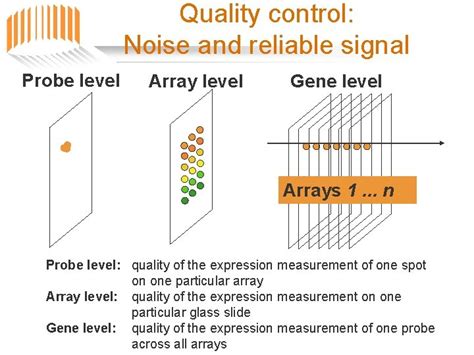Microarray Analysis Data Preprocessing Normalization Molecular Diagnosis Statistical