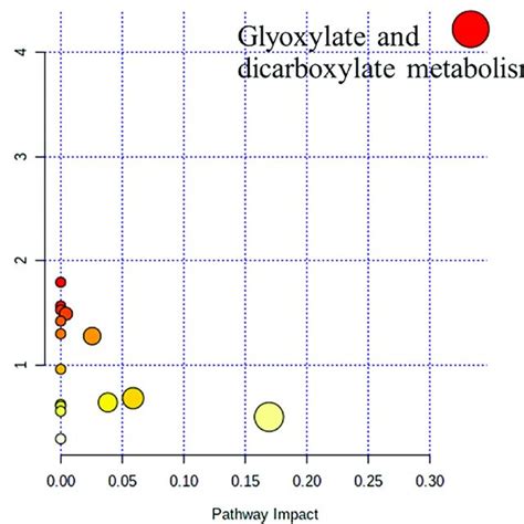 Graphical Overview For The Metabolome Viewing Of The Pathway Analysis