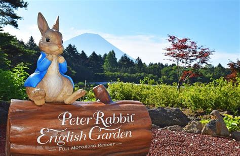 기간 한정 일본 후지산 환상의 꽃바다 시바자쿠라 축제 1일 투어 │모토스코 리조트 And 가와구치코 오이시 공원 And 센겐 공원 │중국어 일본어 서비스 │도쿄신주쿠 출발