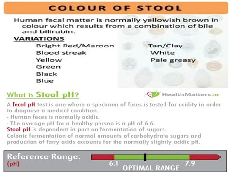 Stool Routine Examination Pptxstool Routine Examination Pptx