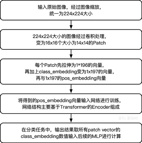 Vision Transformer图像分类 Mindspore 20 教程 昇思mindspore社区