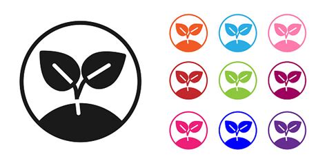 흰색 배경에 격리 된 검은 새싹 아이콘 종묘와 묘목 나뭇잎 기호 잎 자연 다채로운 아이콘을 설정합니다 벡터 0명에 대한 스톡 벡터 아트 및 기타 이미지 Istock