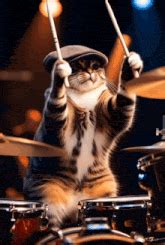 Cat Drumming S Tenor