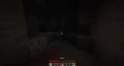 Minecraft But The Tick Speed Is Increased Perfectlycuts