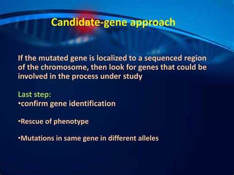 forward and reverse genetics pptx genetics science
