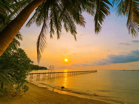 Wallpaper Tropical Summer Beach Sea Palm Trees Pier Sunset X Uhd K Picture Image