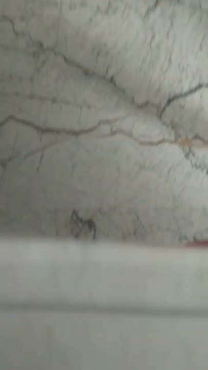 Poster Colourdrawing Still Life Drowing Youtube Short Youtube