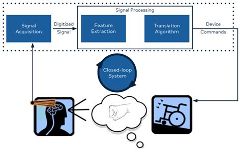 What Internal Variables Affect Sensorimotor Rhythm Brain Computer
