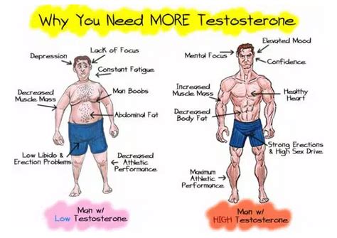 Natural Ways To Increase Testosterone Levels Fitness Workouts And Exercises