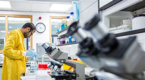 What Is Biomedical Engineering Career Role And Education