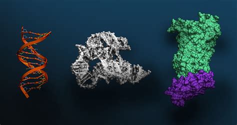 생체 분자 과학을 위한 대규모 파운데이션 모델 이제 Nvidia Bionemo를 통해 사용 가능 Nvidia Blog Korea