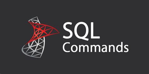 essential sql commands for data science dev community