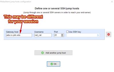 VNC From Windows To Linux Computer Action Team