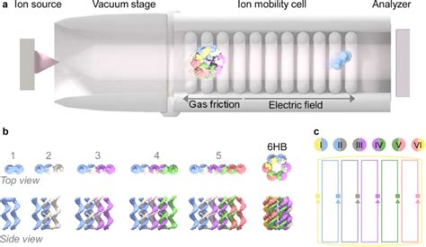 Sizing Up Dna Nanostructure Assembly With Native Mass Spectrometry And Ion Mobilitynature