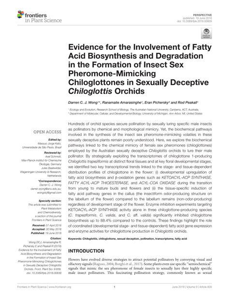 Pdf Evidence For The Involvement Of Fatty Acid Biosynthesis And Degradation In The Formation