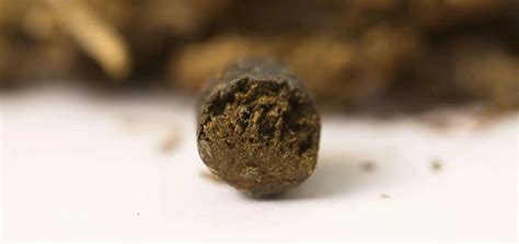 What Is Hash Cannabis Glossary Gaanja Heal