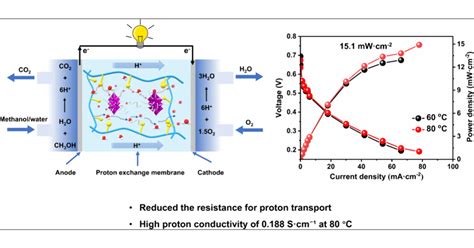 Molecular Level Modification Of Sulfonated Polyarylene Ether Ketone