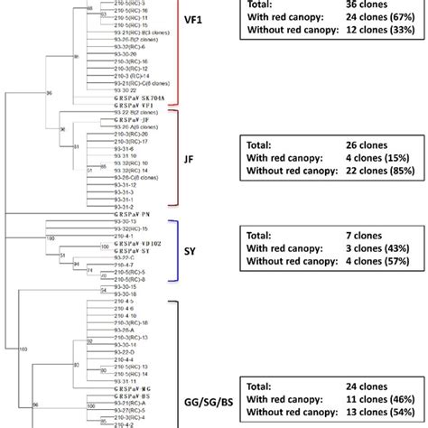 Distribution Of Clones Derived From Rt Pcr Using Primers Rsp35 And