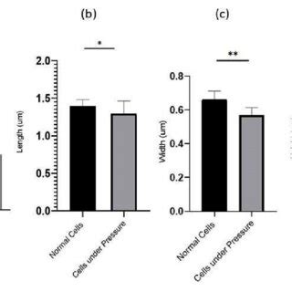 The Graph Depicted The Compression Of Volume A And Physical Download Scientific Diagram