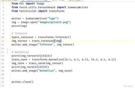 pytorchtransforms CSDN博客