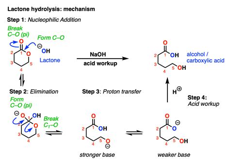 Simple Hydrolysis Reaction