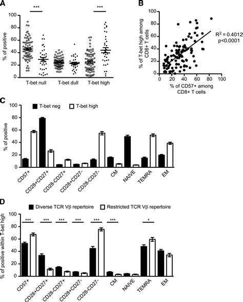 Expansion Of Highly Differentiated Cytotoxic Terminally Differentiated Effector Memory Cd8 T