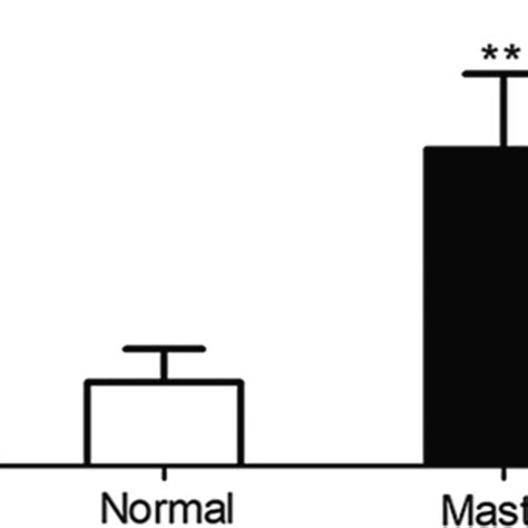 The Expression Levels Of Xist In Normal And Mastitic Samples Of Bovine