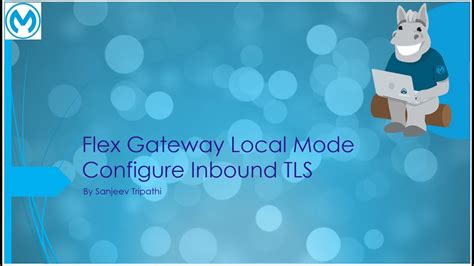 Flex Gateway Part VII Configure Inbound TLS Context For Flex Gateway Deployed In Docker Local