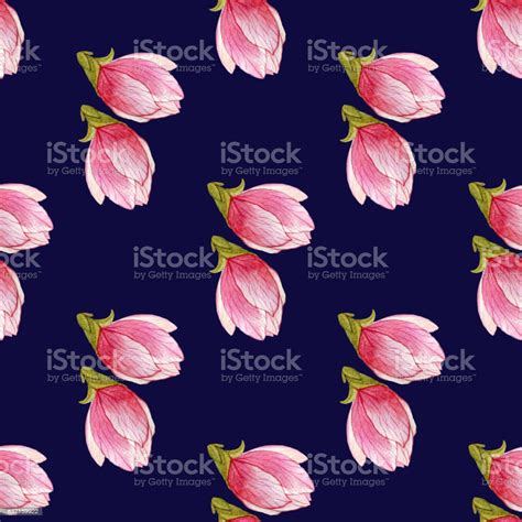 수채화 목련에는 섬유 인쇄 포장지에 대 한 진한 파란색 Backgroundseason 디자인에 완벽 한 패턴 꽃 봉 오리 0명에 대한 스톡 벡터 아트 및 기타 이미지