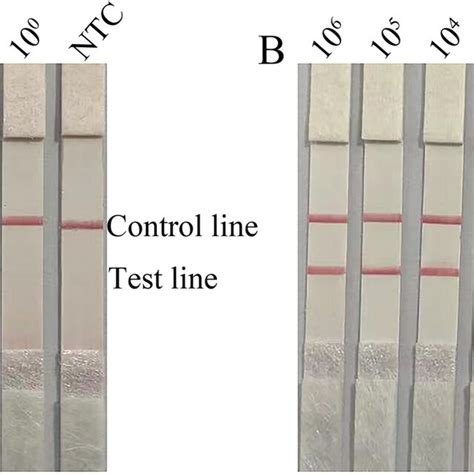 Detection Limit Of The Rpalfs System A Rpa Lfs Results With Different