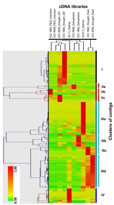 Clustered Correlation Map Of Differentially Expressed Genes Under