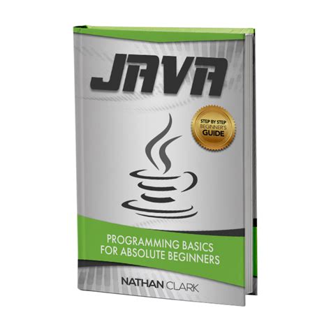 Programming Basics For Absolute Lekol Biznis Pam