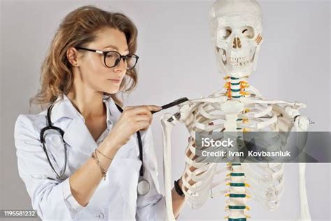 의료 가운을 입은 여성 스켈레톤 레이아웃을 가진 의사 흰색 배경에 고립 된 안경소녀 메딕 의사의 조수가 뼈를 가리킵니다 근골격계 질환 연구 건강 진단에 대한 스톡 사진 및