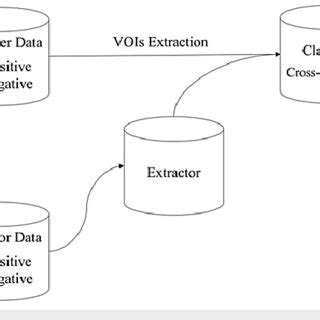Data Flow And Sampling In The Model Development Process Download Scientific Diagram