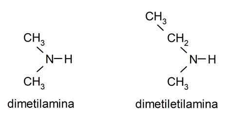 20 Ejemplos De Aminas