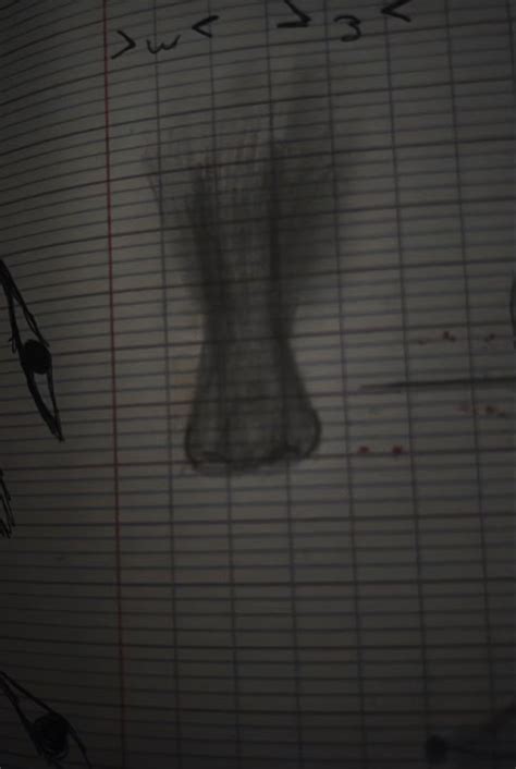 Pin By Yuritza Pena On 🌹art 🌹 🐙 Nose Drawing Easy Doodles Drawings