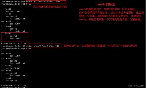 【linux笔记】三、linux文件管理基础linux、件命名格式 Csdn博客