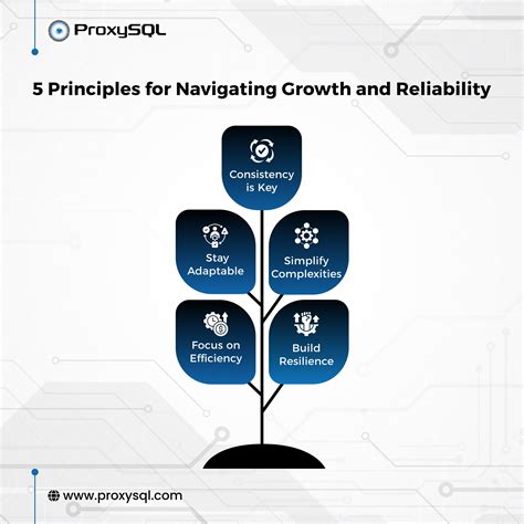 Proxysql These Principles Shape How We Tackle Database Performance