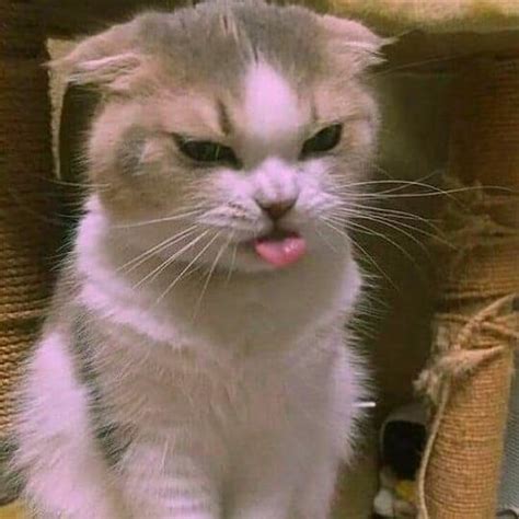 github mamiiblt command prompt py command prompt example on python