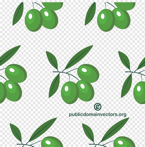 원활한 올리브 가지 패턴 Png Pngwing