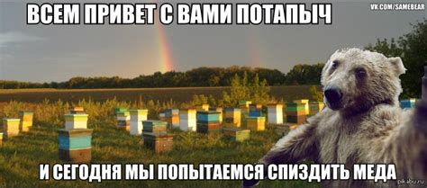Медведь | Пикабу