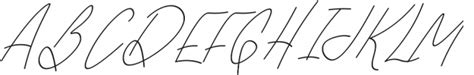 spice script otf 400 font script decorative what font is