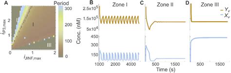 Behavior Of A Single Cell In Absence Of Gap Junctional Coupling D