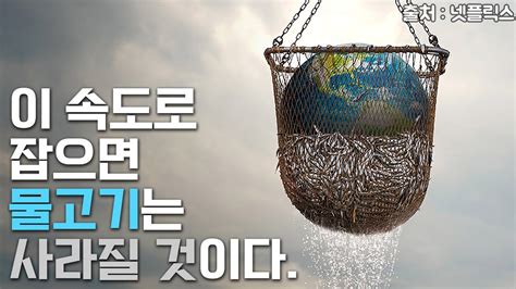 물고기가 사라진다 무너지고 있는 바다 Youtube